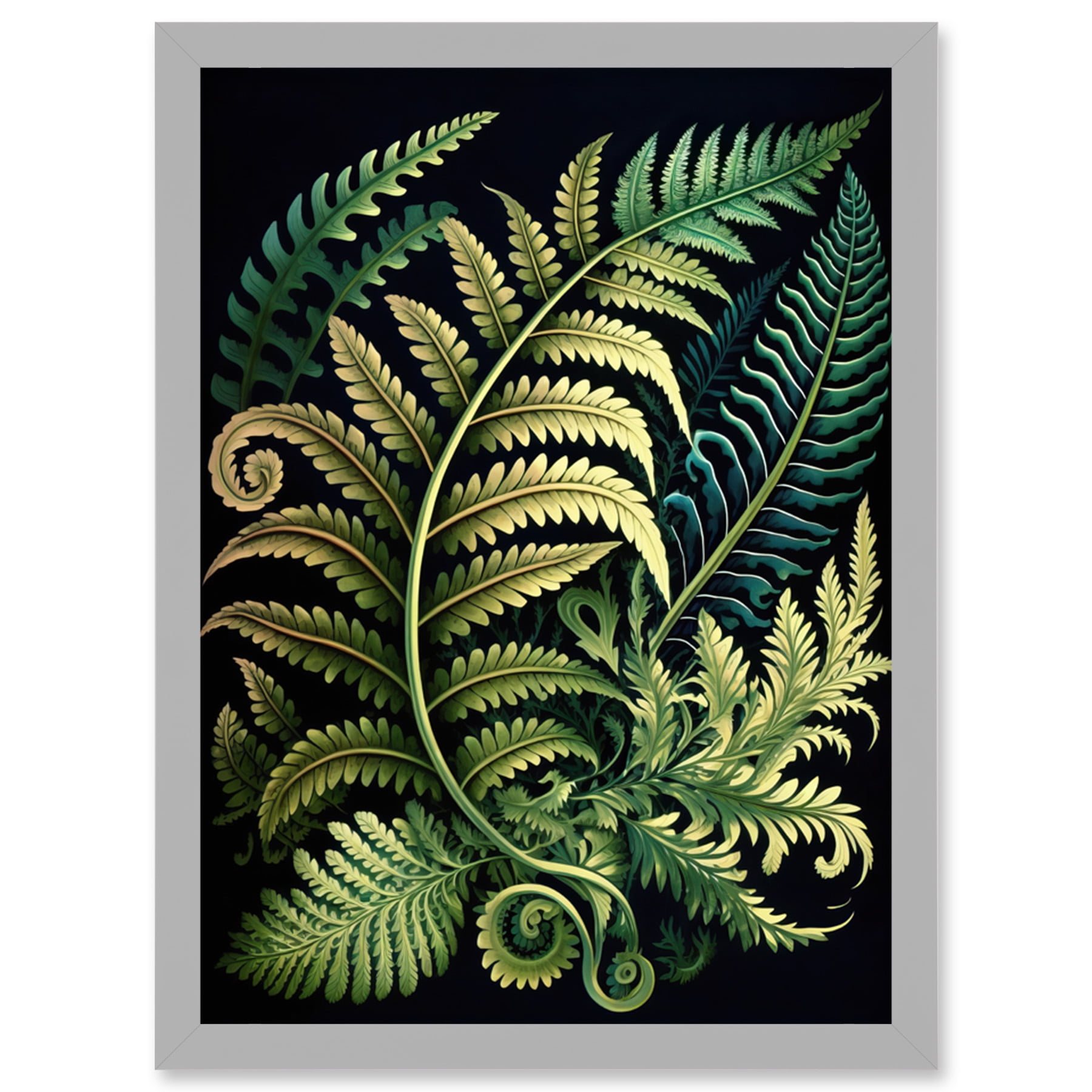 Ernst Haeckel Style Fern Fronds Leaf Illustration Artwork Framed Wall ...