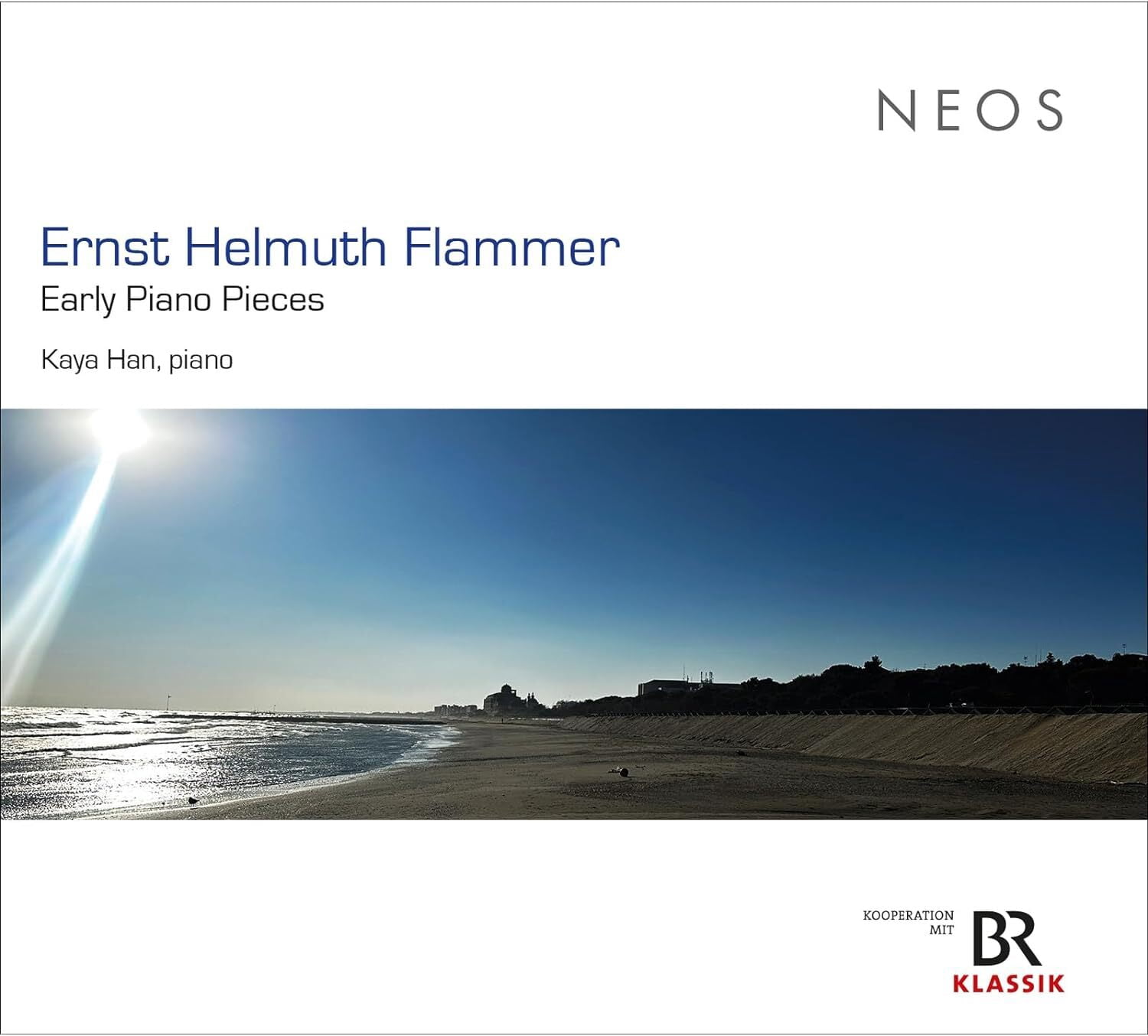 Ernst Helmuth Flammer: Early Piano Pieces (Audiobook) - Walmart.com