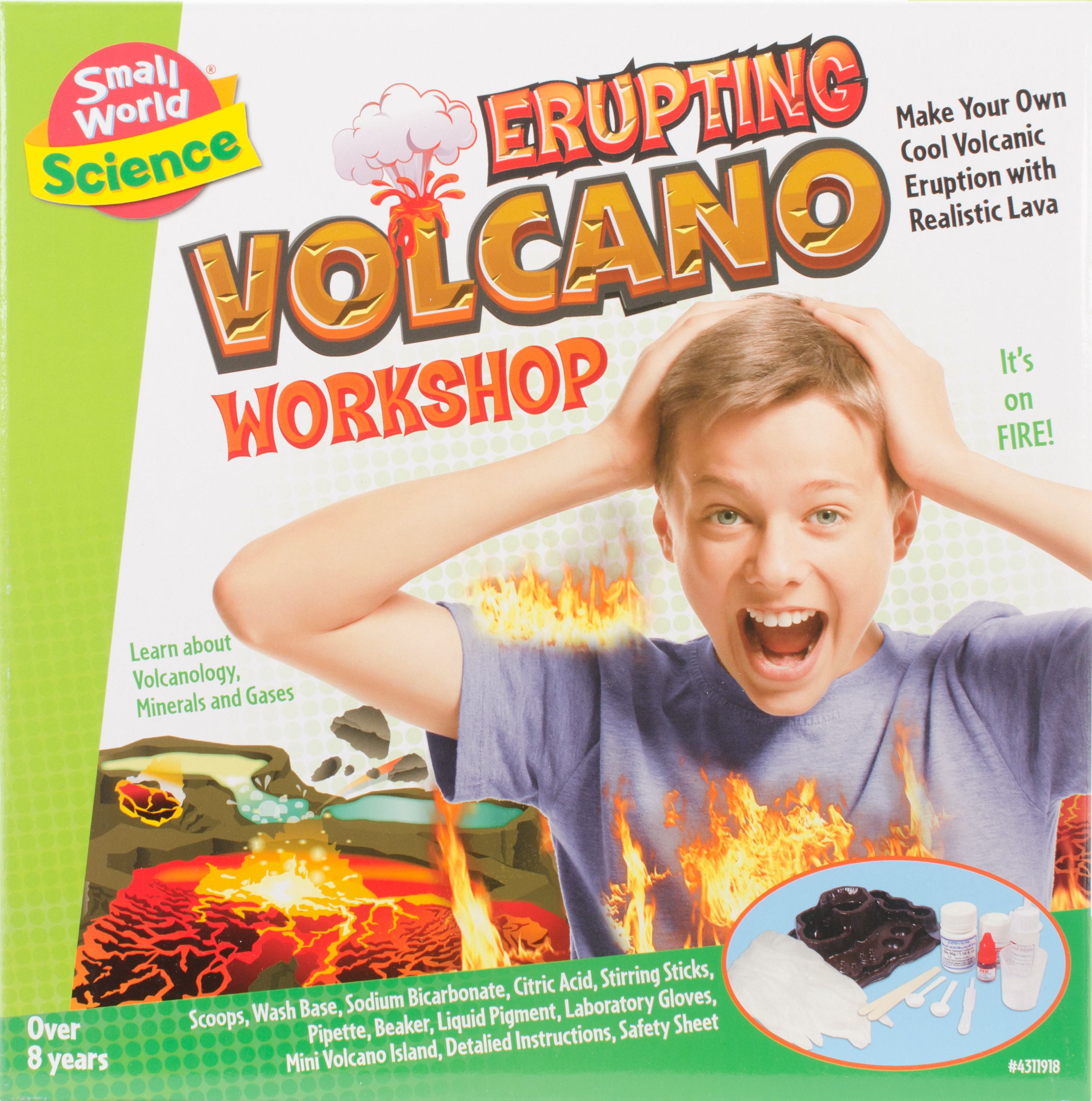 Erupting Volcano Workshop - Walmart.com