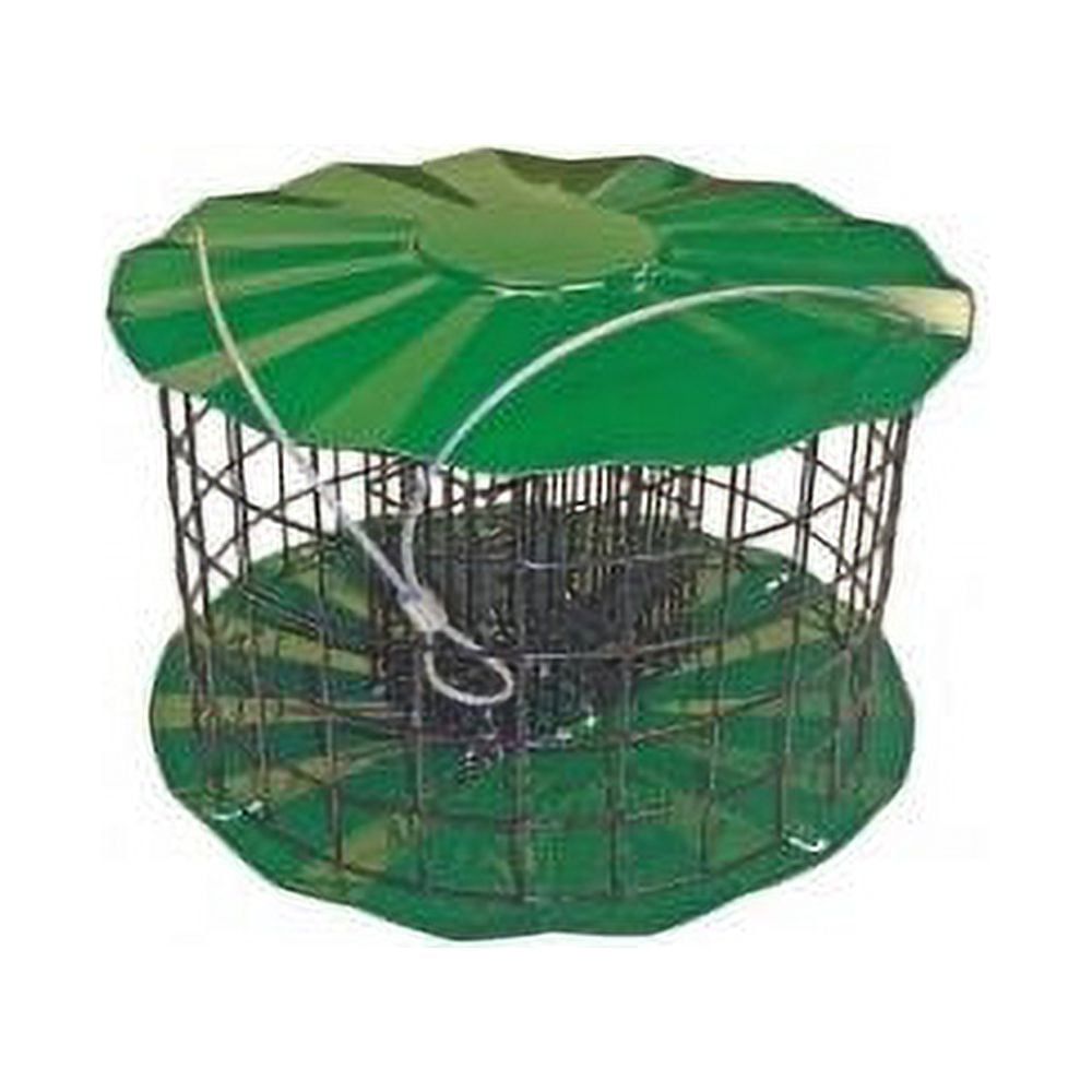 Erva Barrier Guard Specialty Suet Bird Feeder - Walmart.com