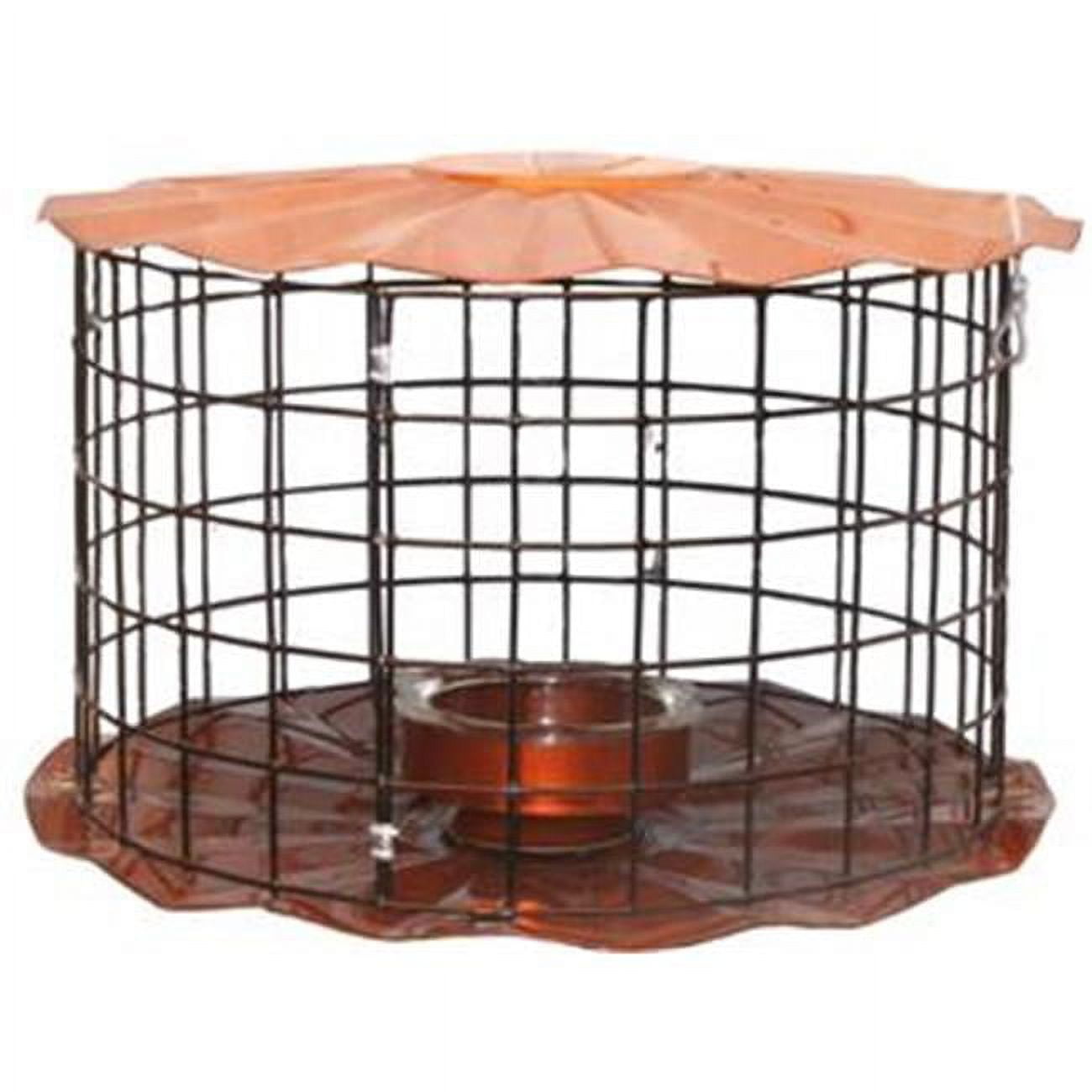 Erva Outdoor Copper Colored Bluebird & Oriole Feeder, Caged Design ...
