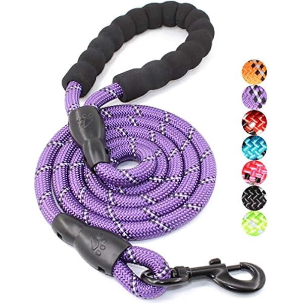 Eryueer 2/4/5/6 FT Dog Leash with Comfortable Padded Handle and Highly ...
