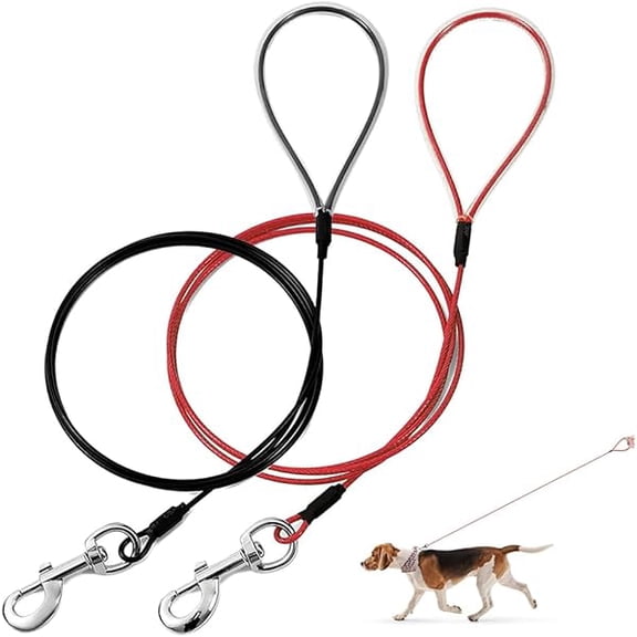 Chew Proof Leashes Dogs