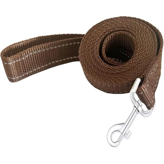 Eryueer Reflective Dog Leash 4Ft /5 Foot /6 Feet Long, 1 Inch Wide, for ...