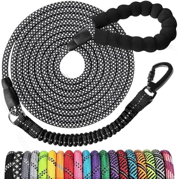 Eryueer Rope Dog Leash 8FT: Heavy Duty Leashes with Swivel Lockable ...