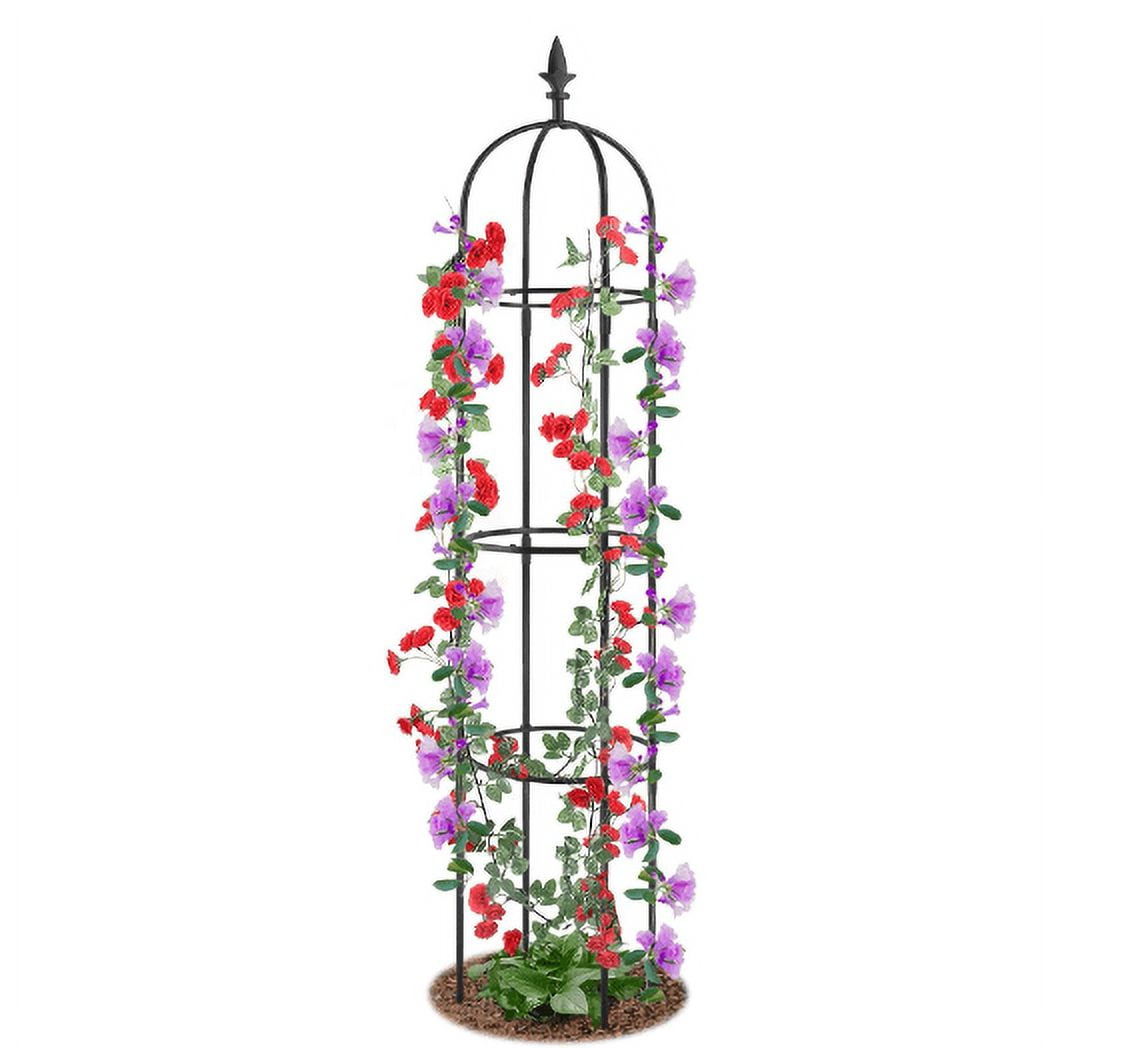 Esbaybulbs 6ft Tall Metal Garden Trellis for Climbing Plants, Indoor ...