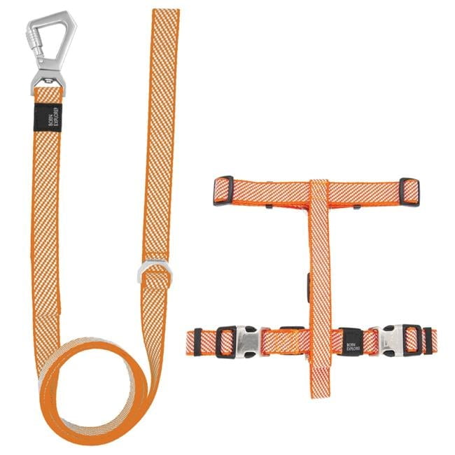 Escapade Outdoor Series 2-in-1 Convertible Dog Leash & Harness, Orange ...