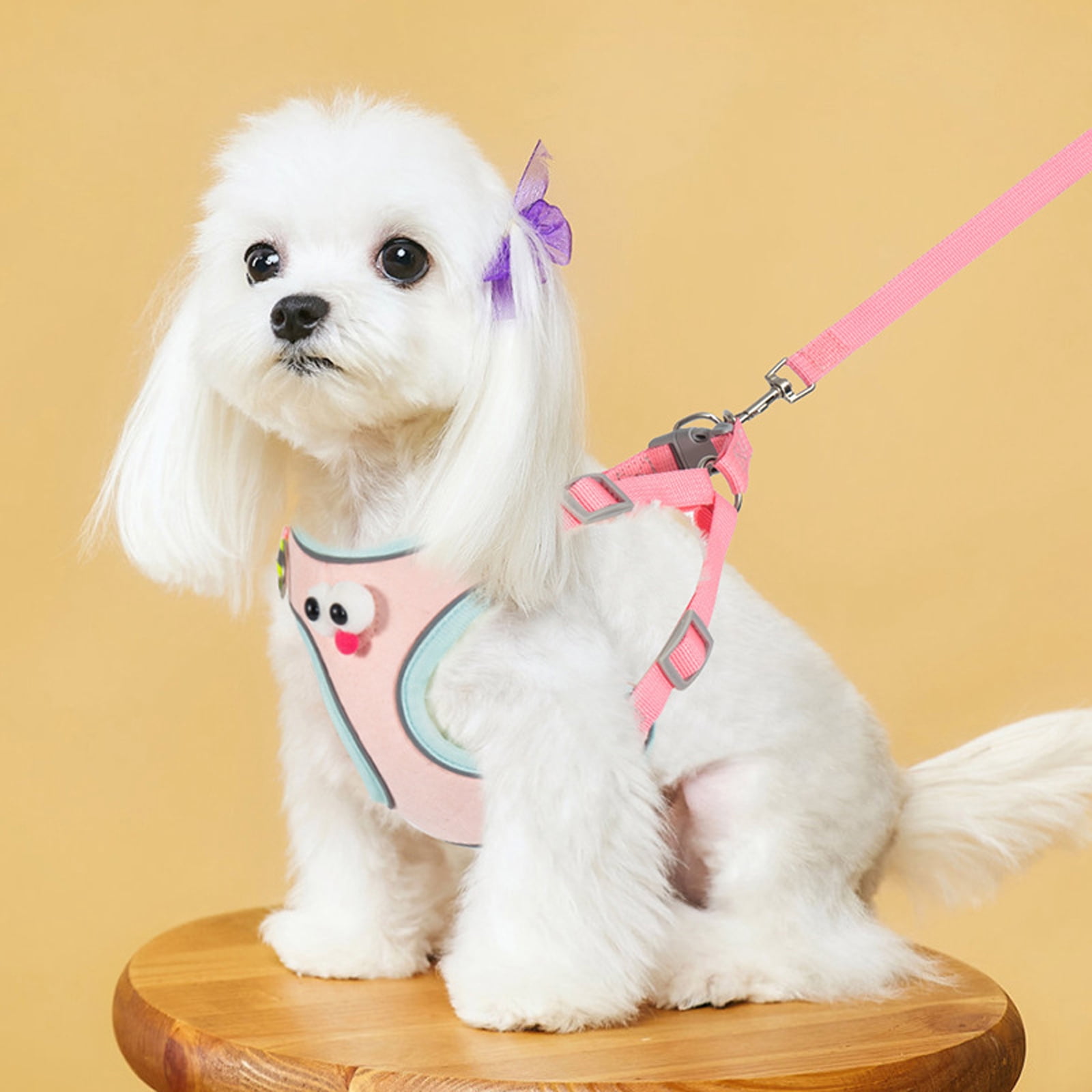 Escape-Proof Cartoon Pet Harness & Leash Set, Soft Breathable Vest ...