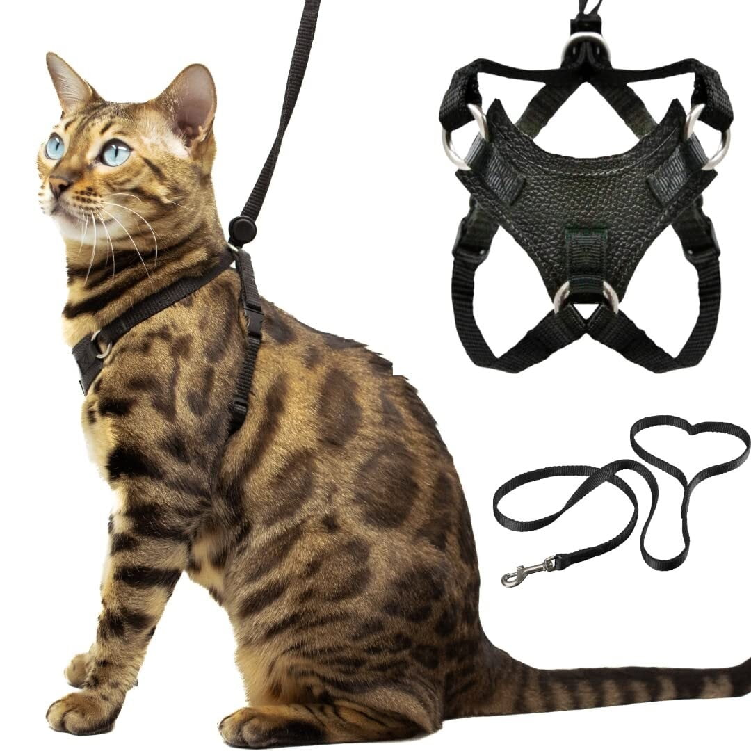 Escape Proof Cat Harness and Leash Set for Walking Cats and Kittens ...