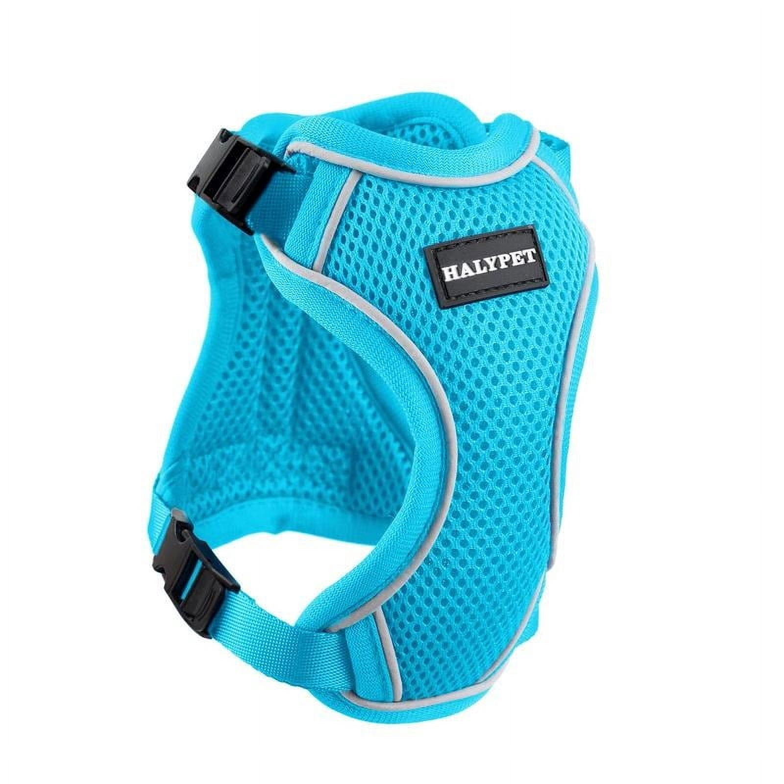 Escape Proof Cat Harness and Leash Set, with Security lock and ...