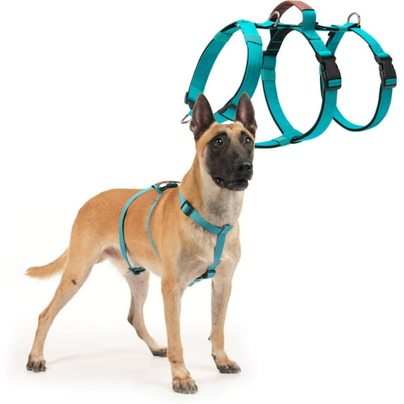 Escape Proof Dog Harness, No Pull Harness with Lift Handle, Adjustable ...