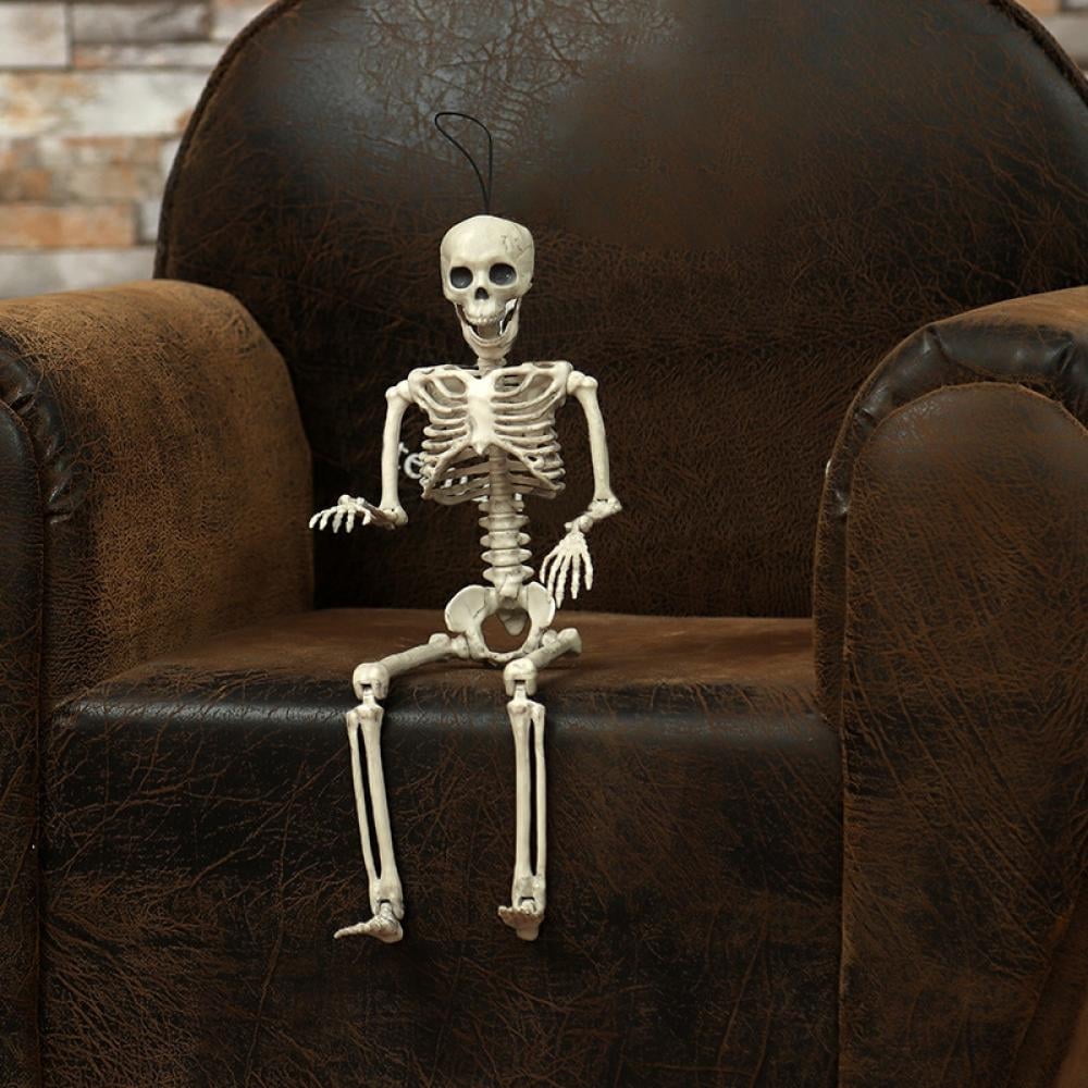 EseeAierHuman Skeleton Model for Anatomy, Skeleton Model with Movable ...