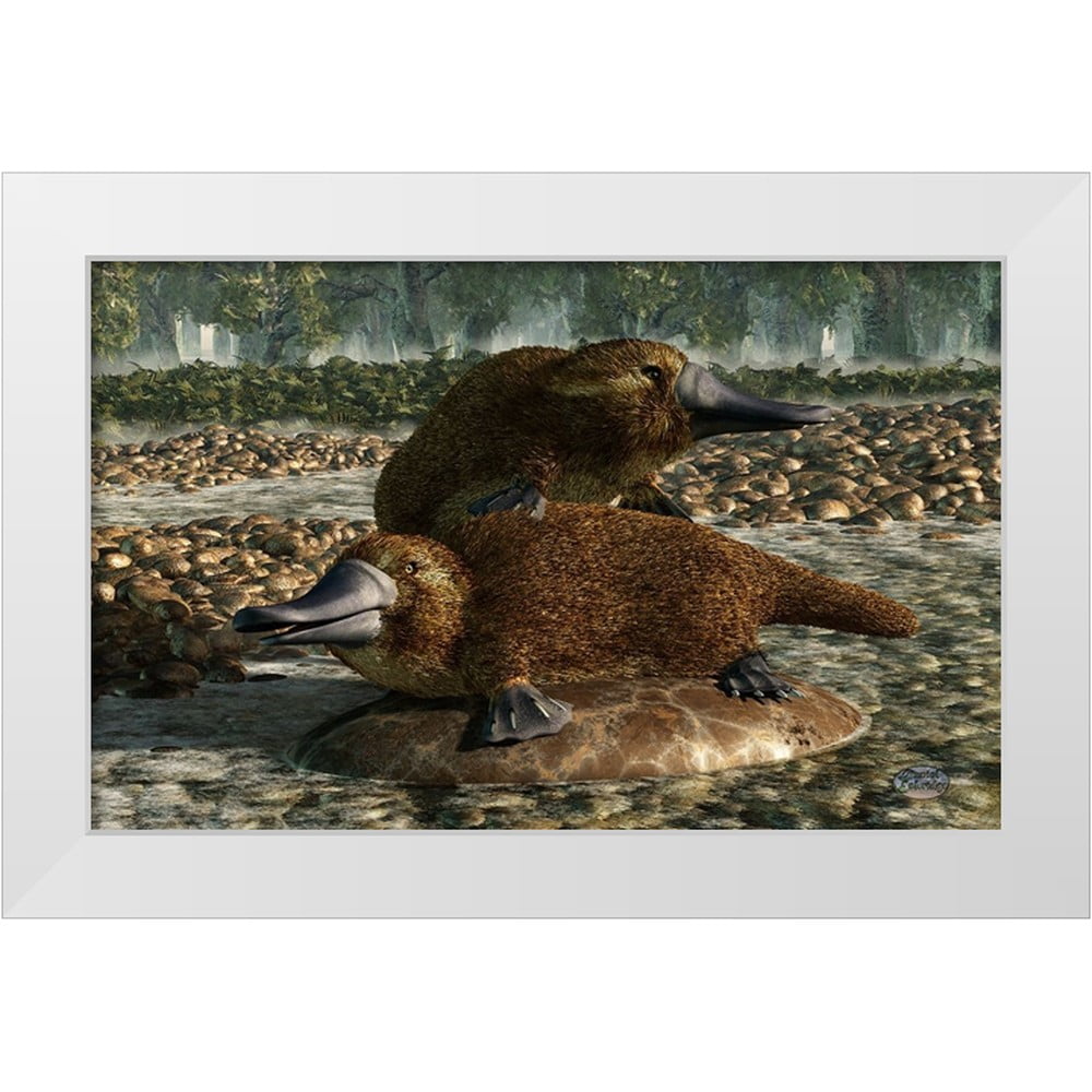 Eskridge, Daniel 32x22 White Modern Wood Framed Museum Art Print Titled ...