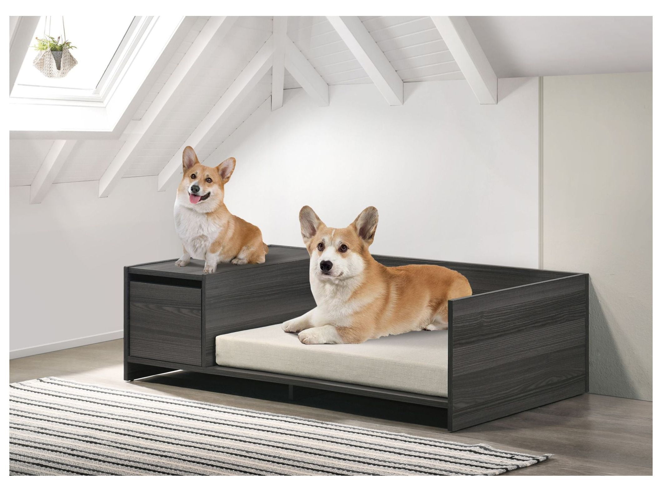 Esme Gray 47" Wide Modern Comfy Pet Bed with Cushion and Side Storage Compartment as Pic ...