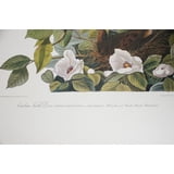 Pre-Owned Espaces, 2nd Ed, Student Edition w/ Supersite PLUS Code ...