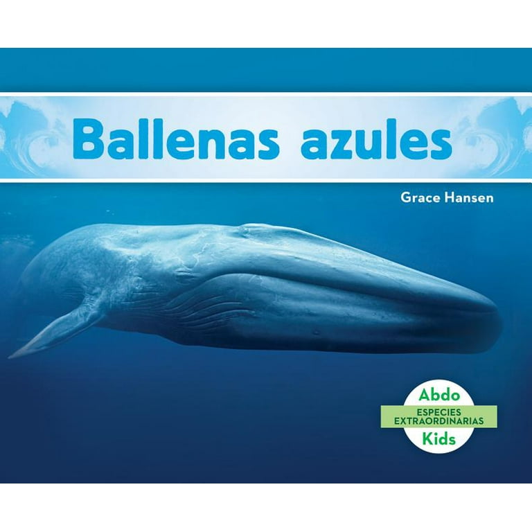 Blue Whale Species