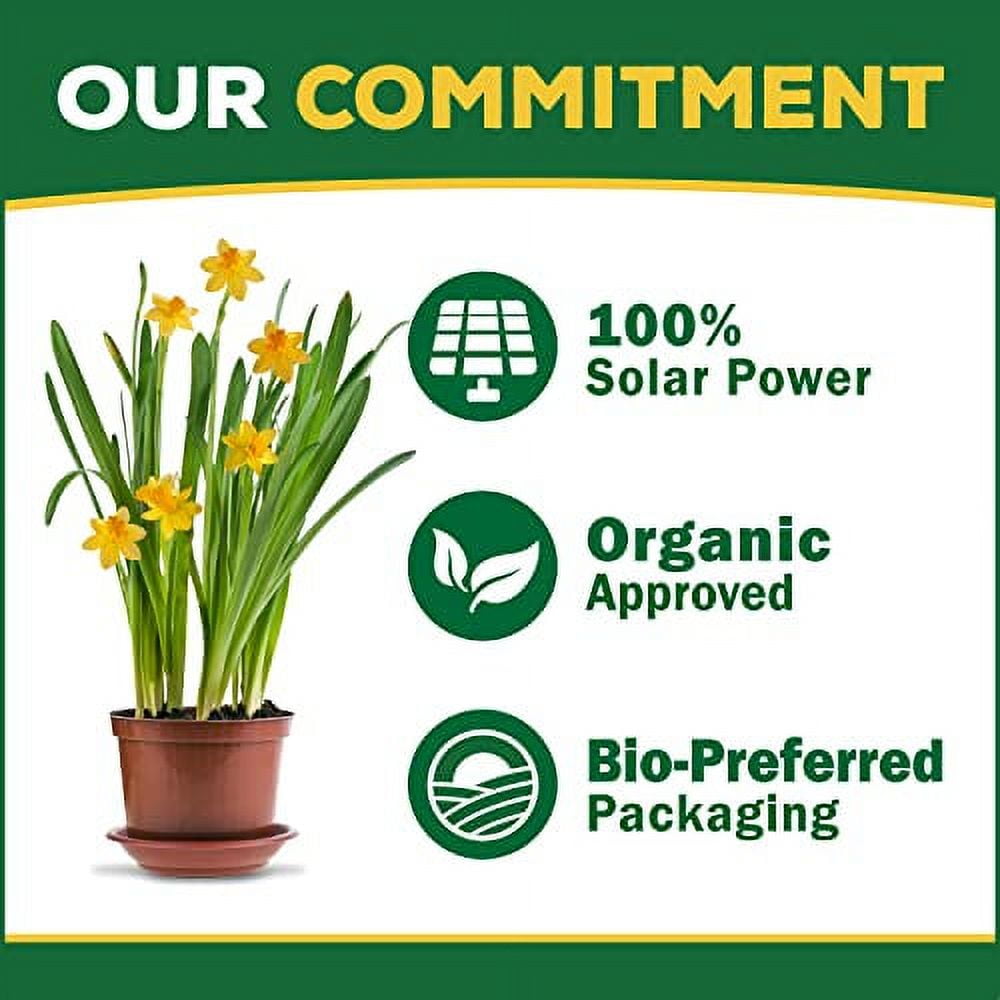 Espoma Organic Azalea-Tone 4-3-4 Natural & Organic Fertilizer and Plant ...