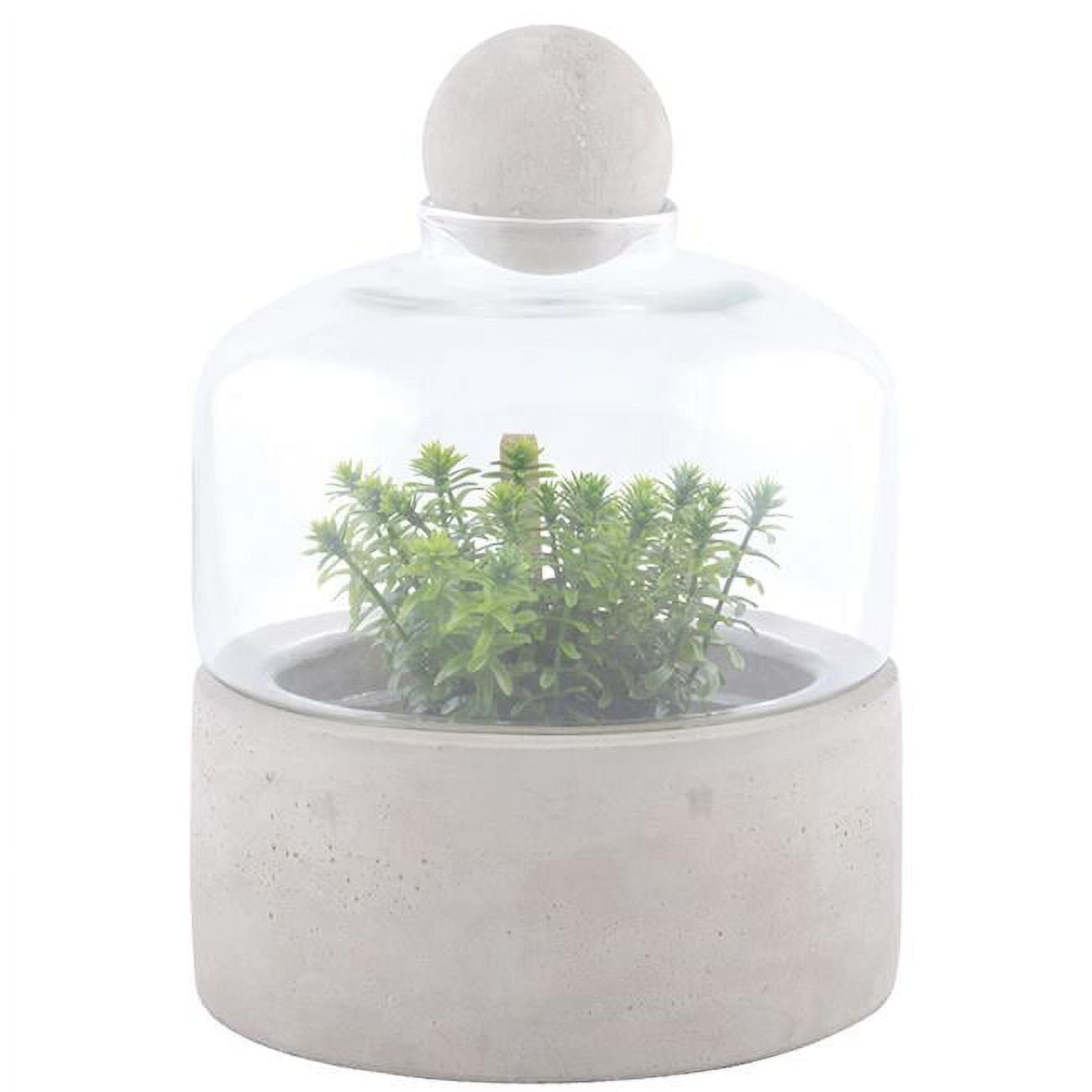 Esschert Design AGG43 Bottle Terrarium Planter with Concrete Base ...