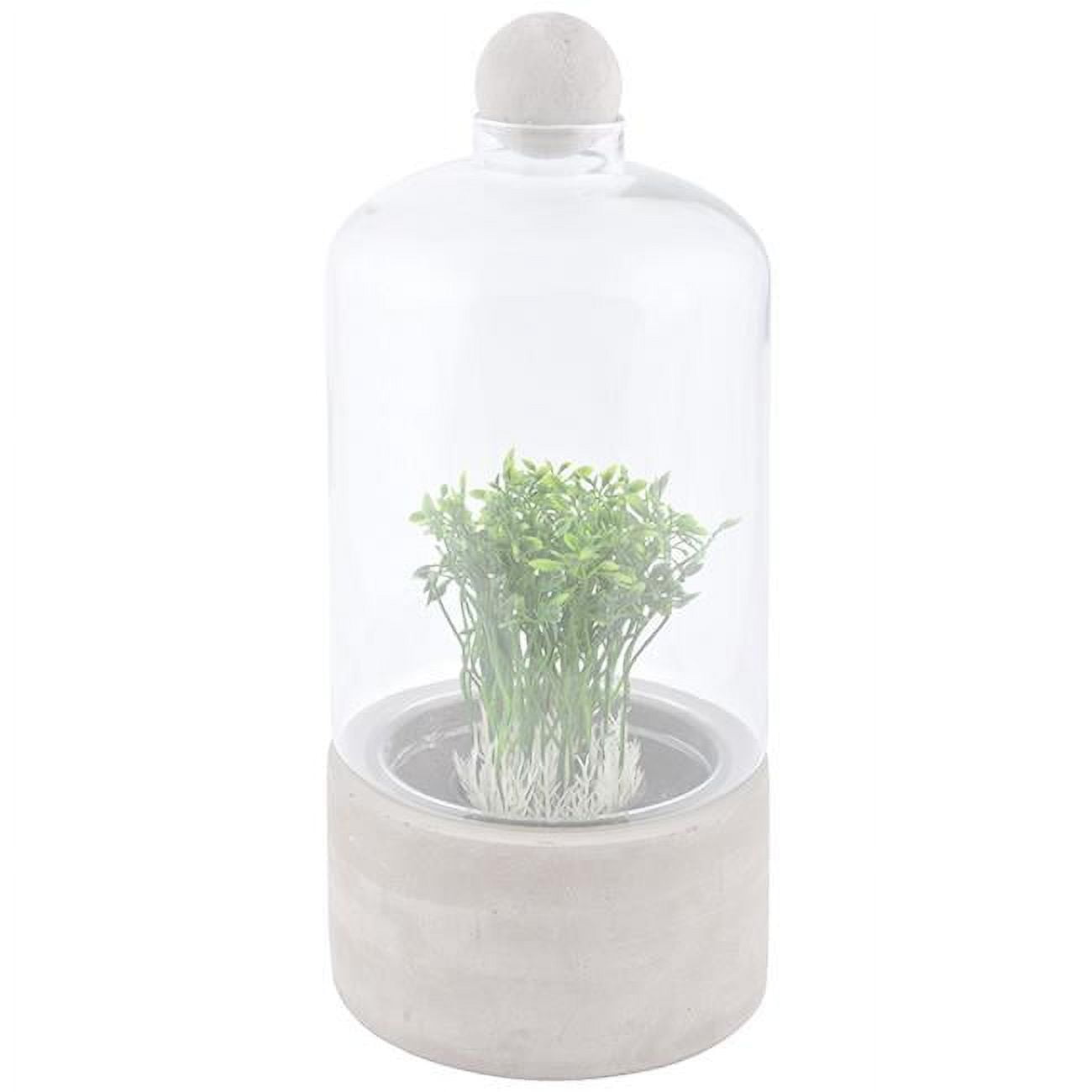 Esschert Design AGG44 Bottle Terrarium Planter with Concrete Base ...