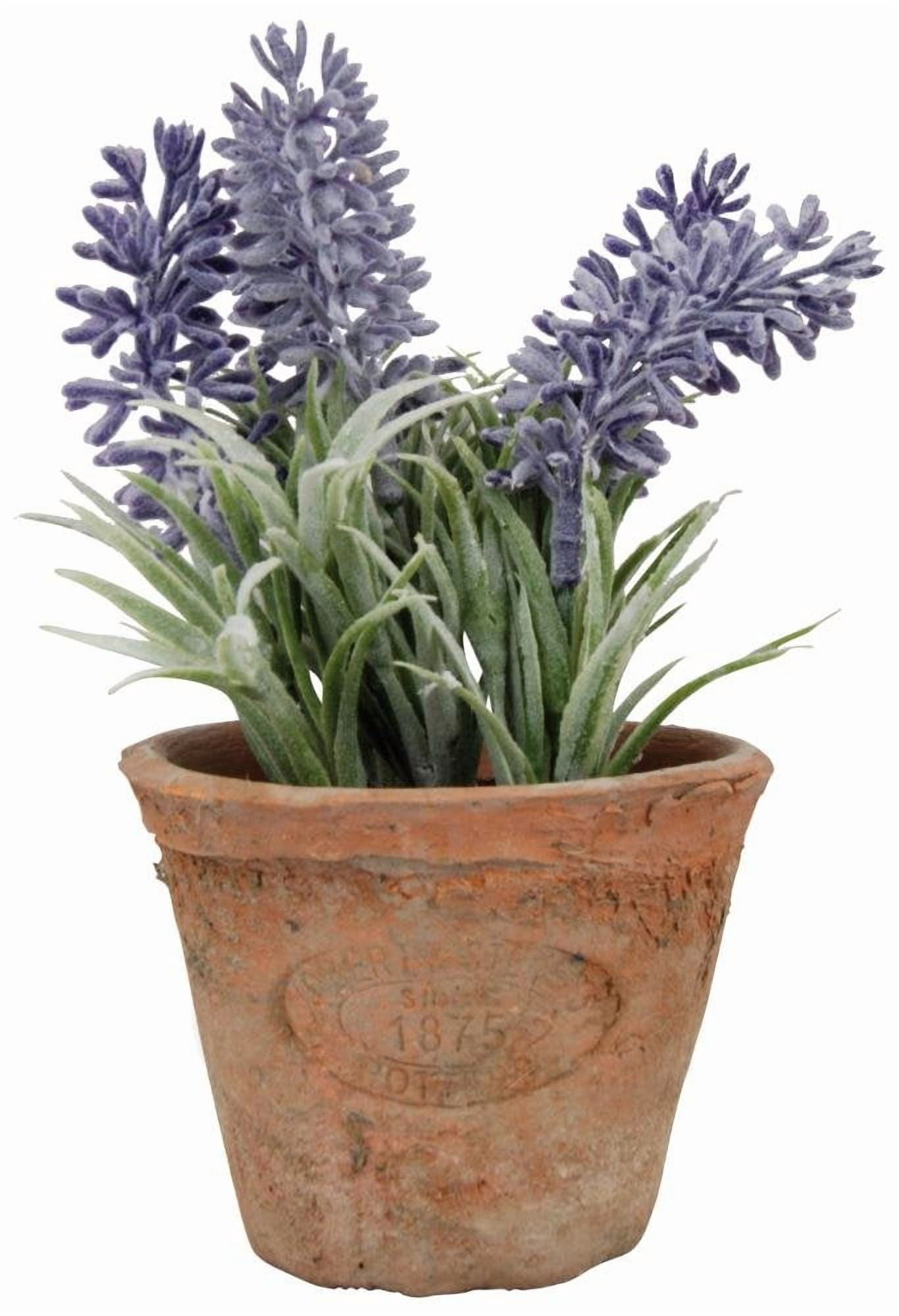 Esschert Design Artificial Lavender Herb Plant Terracotta Pot Small ...