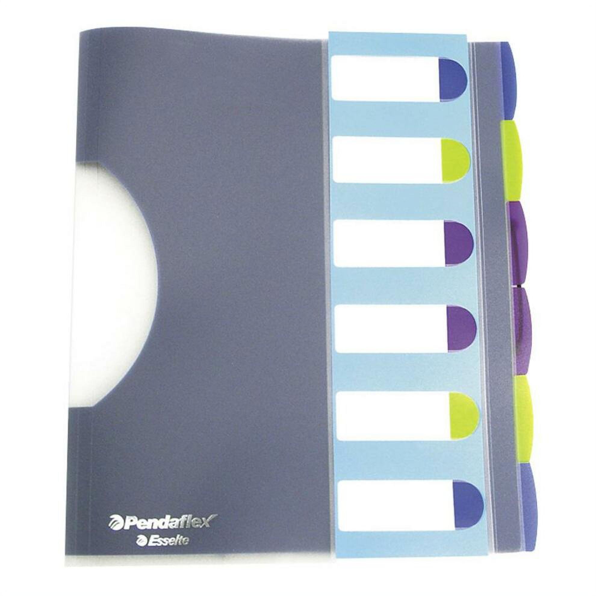 Esselte PileSmart Poly Project Sorter - Walmart.com