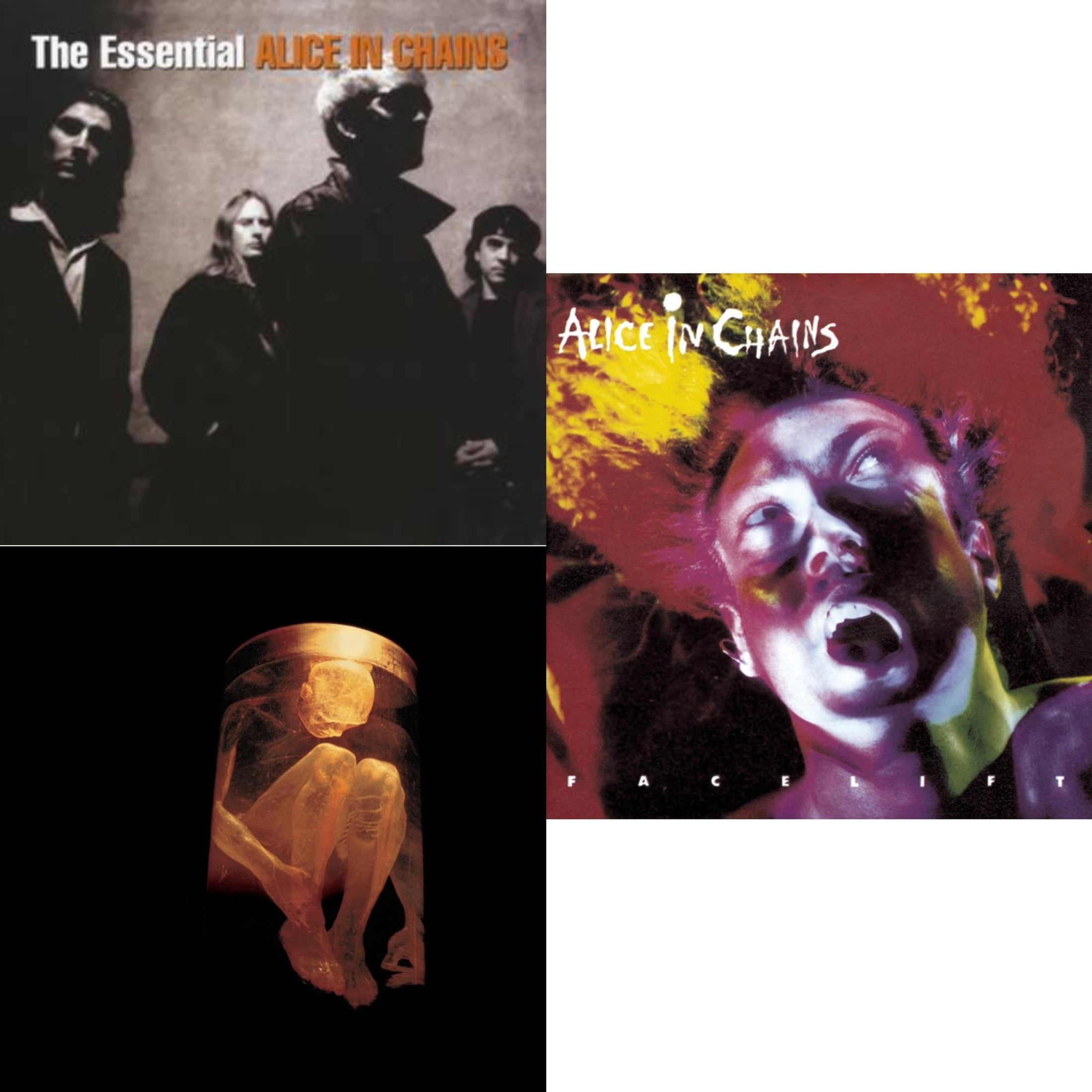 Essential Alice In Chains & Nothing Safe: Best Of The Box & Facelift ...