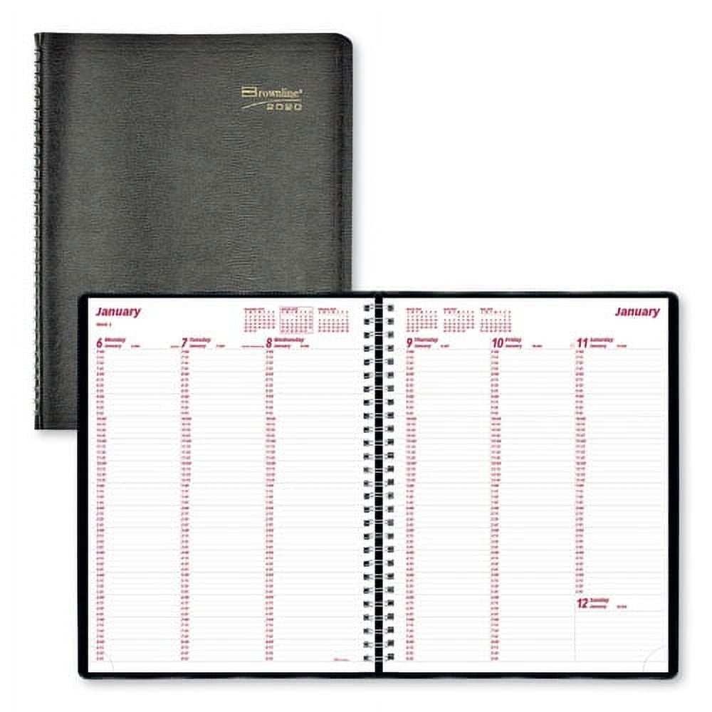 Essential Collection 2024 Weekly Appointment Book, Daily Planner with ...