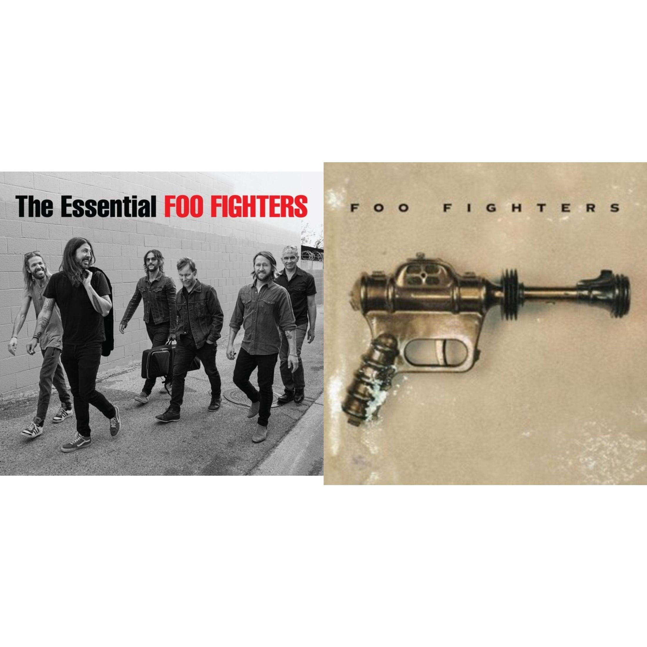 Essential Foo Fighters & Foo Fighters [CD Bundle] - Walmart.com