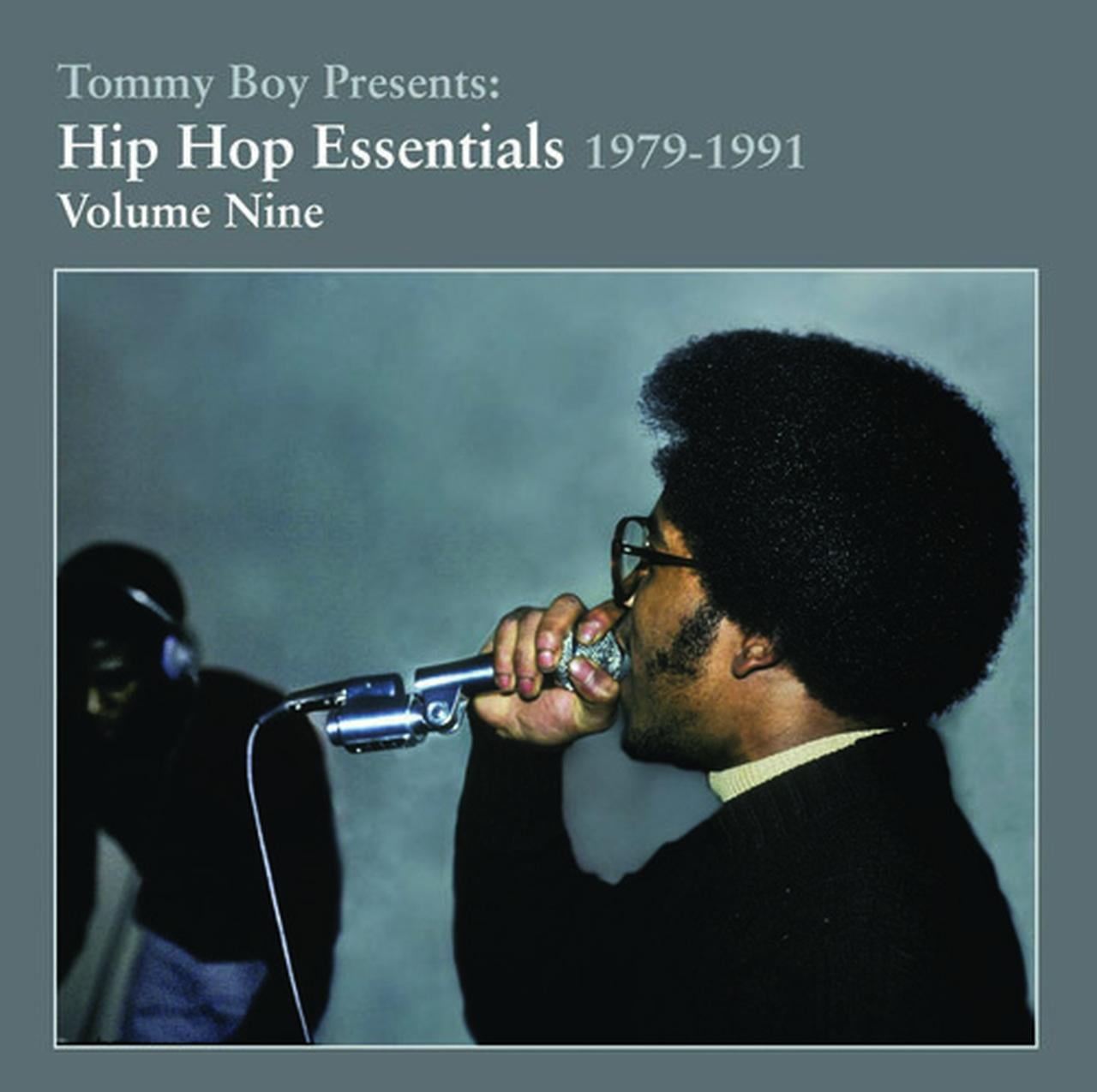 Essential Hip Hop, Vol. 9 (CD) - Walmart.com