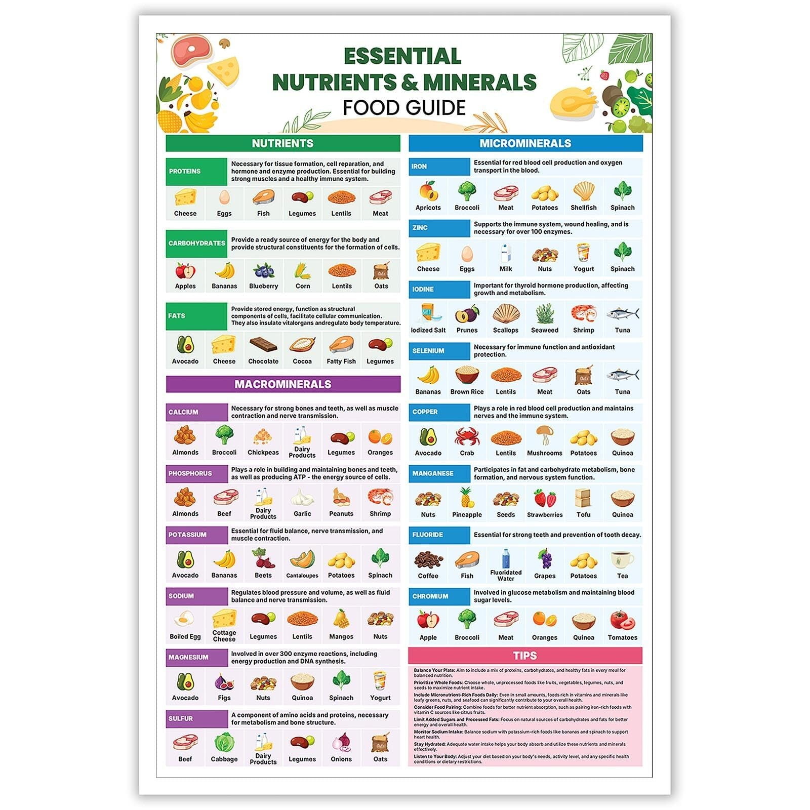 Essential Nutrients & Minerals Food List Posters Healthy Food Meal Plan ...
