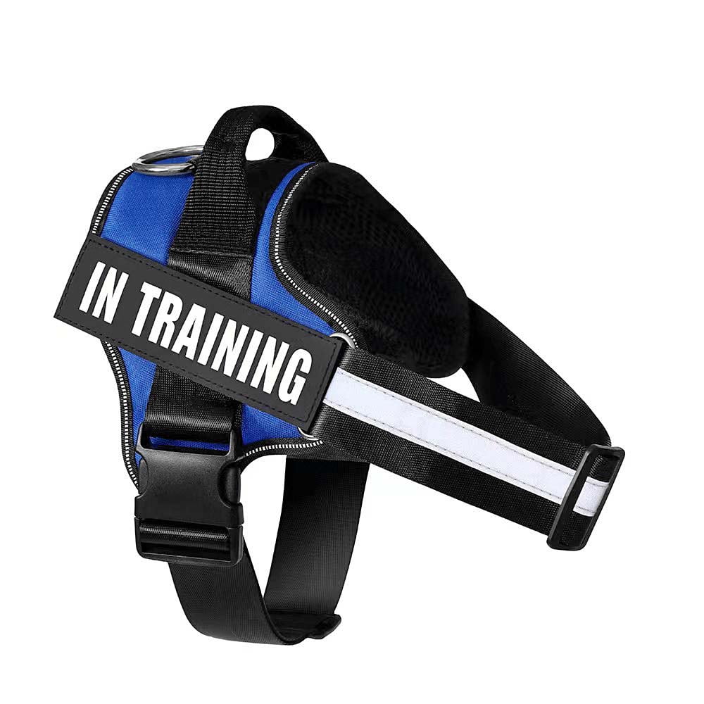 Essential dog harness, no-pull pet harness with 3 side rings for leash ...
