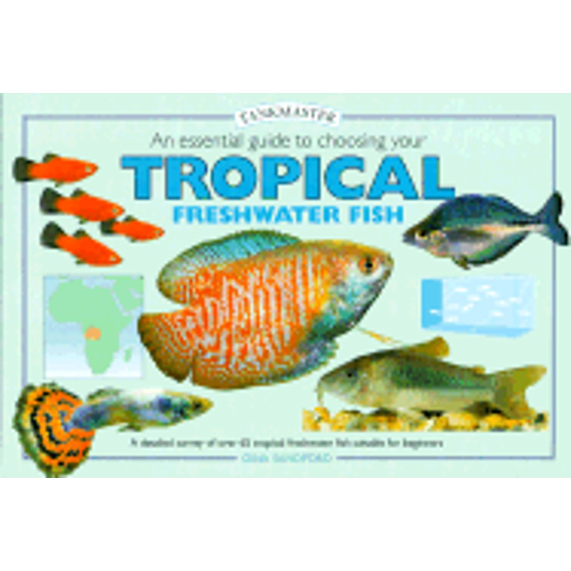 Pre-Owned An Essential Guide to Choosing Your Tropical Freshwater Fish ...