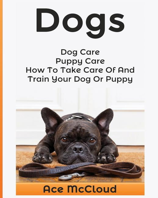 Essentials for Dog Care & Puppy Care Along: Dogs: Dog Care: Puppy Care ...