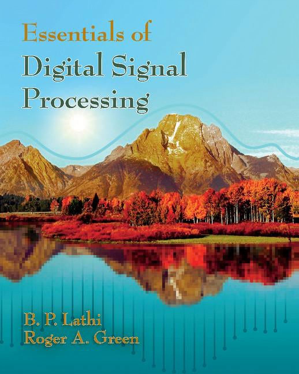 Essentials of Digital Signal Processing (Hardcover) - Walmart.com