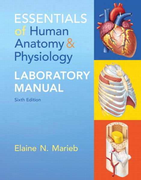 Pre-Owned Essentials of Human Anatomy & Physiology Laboratory Manual ...