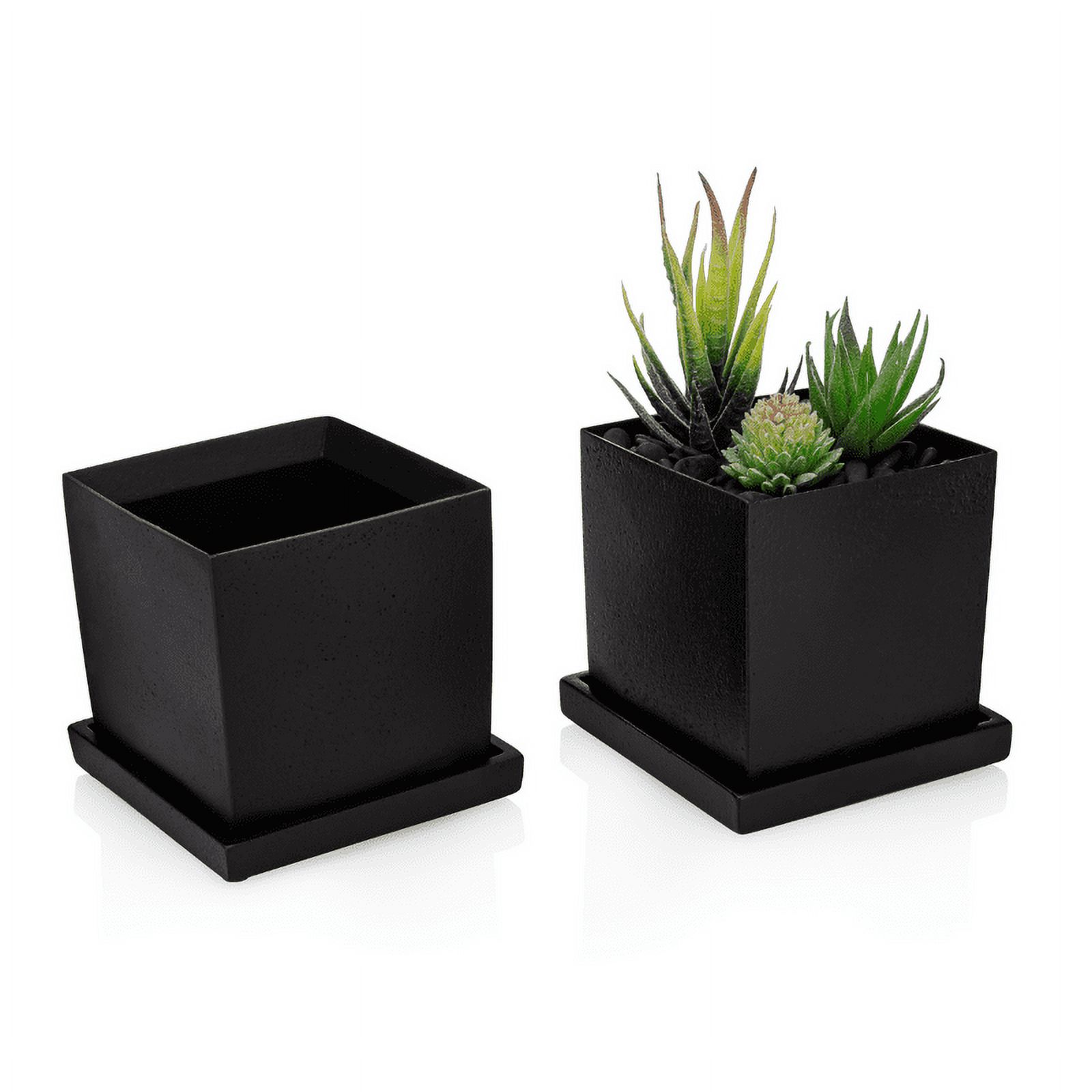 Essentra Home Square Succulent Planter Set of 2 | Black Stone Succulent ...