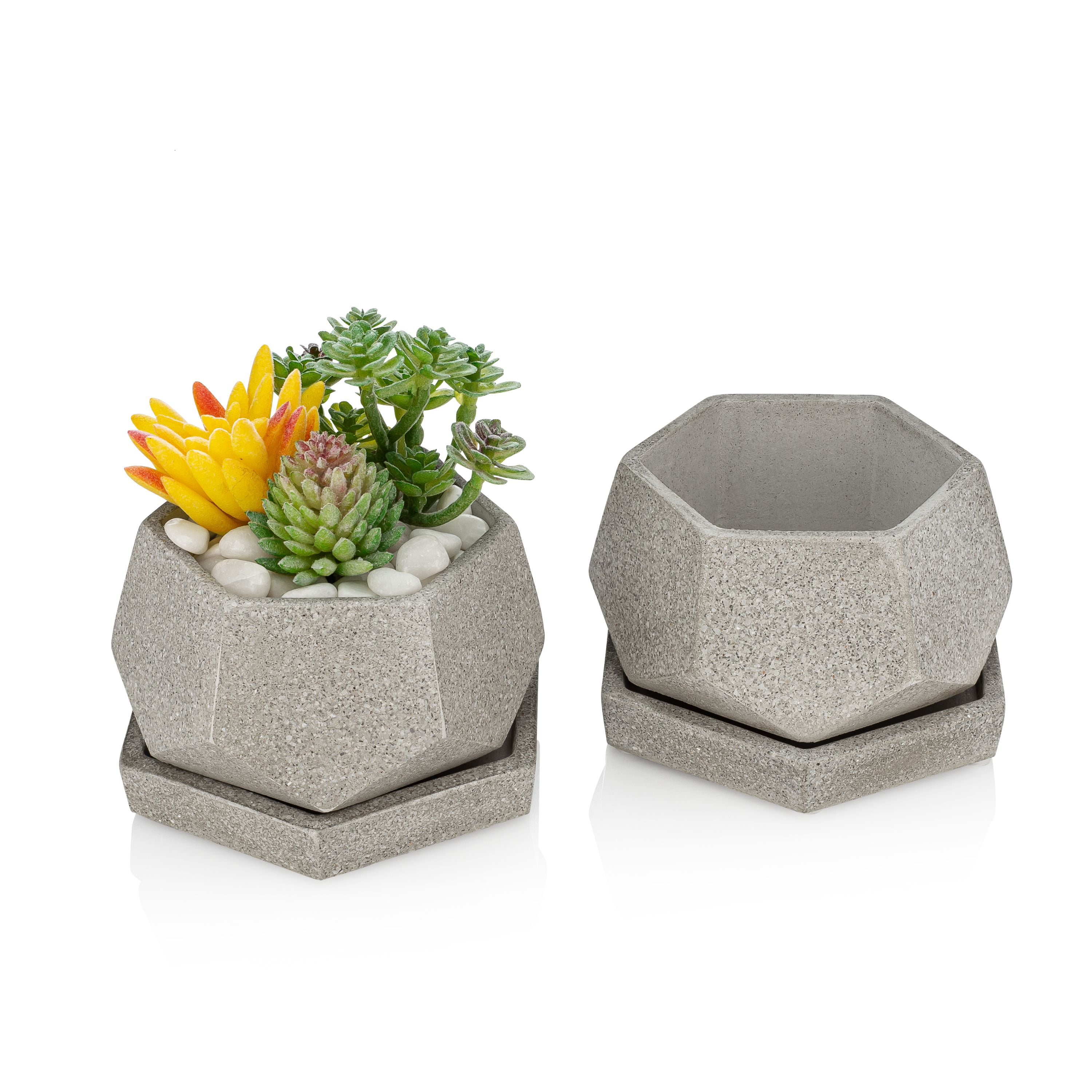 Essentra Home Succulent Pot Set of 2 | Gray Cement Hexagonal Succulent ...