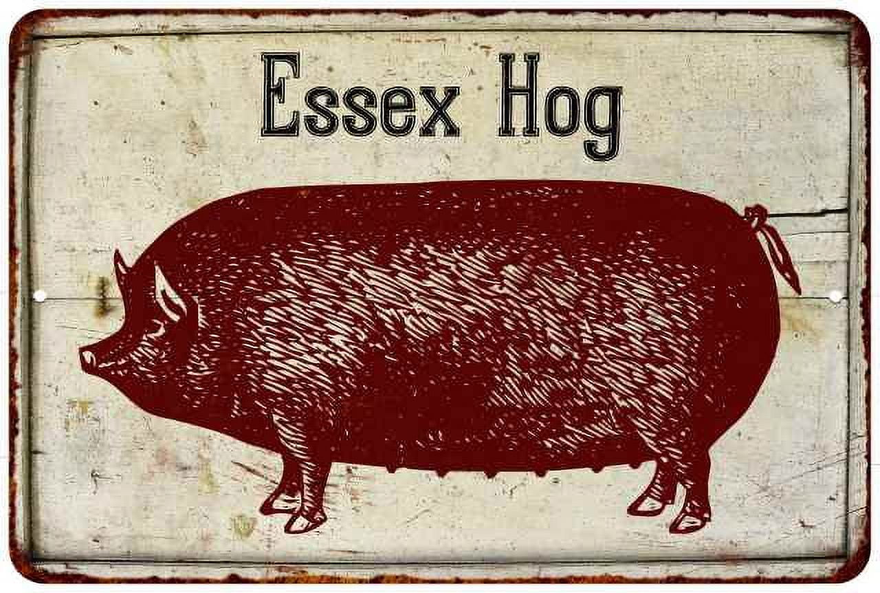 Essex Hog Vintage Look Chic Distressed 8x12 Metal Sign 208120020099 ...