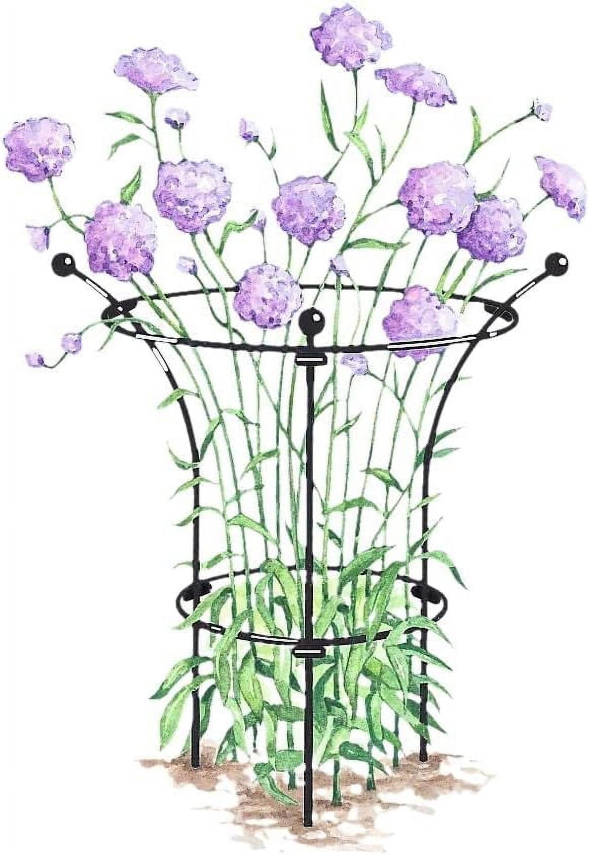 Essex Plant Support | Sturdy Metal Frame for Peonies & Roses | Standing ...