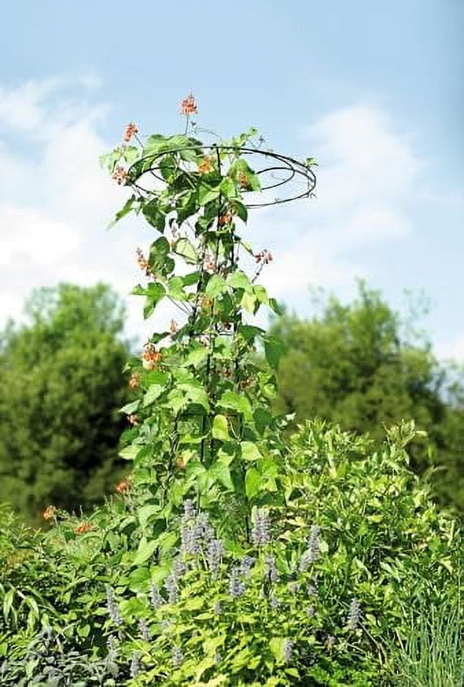 Essex Trellis for Climbing Plants Outdoor | Sturdy Upright Garden ...