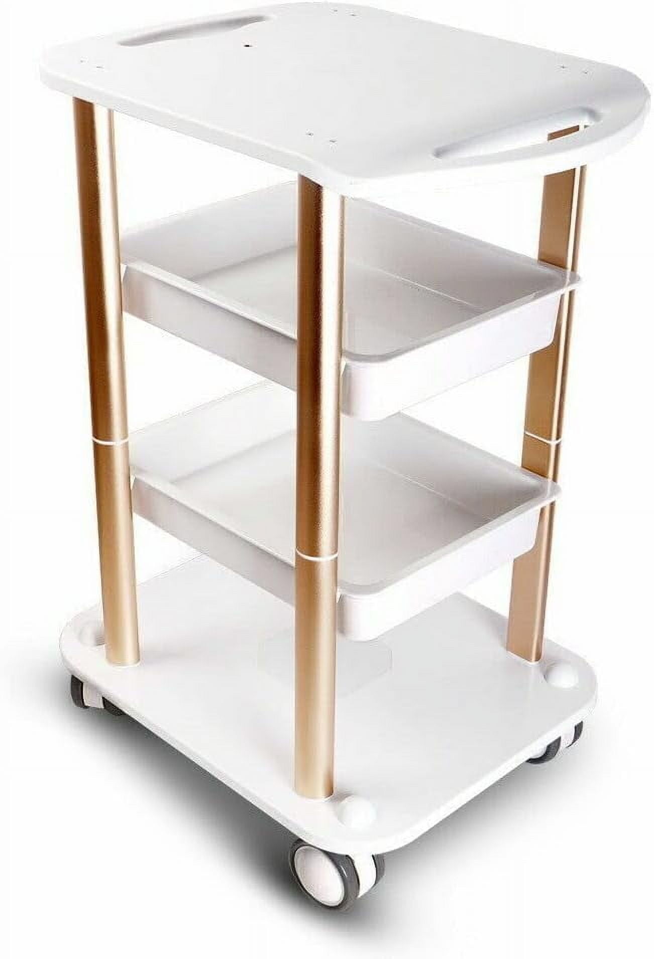 Esthetician Cart with Wheels Utility Salon Rolling Trolley, Two Tiers ...