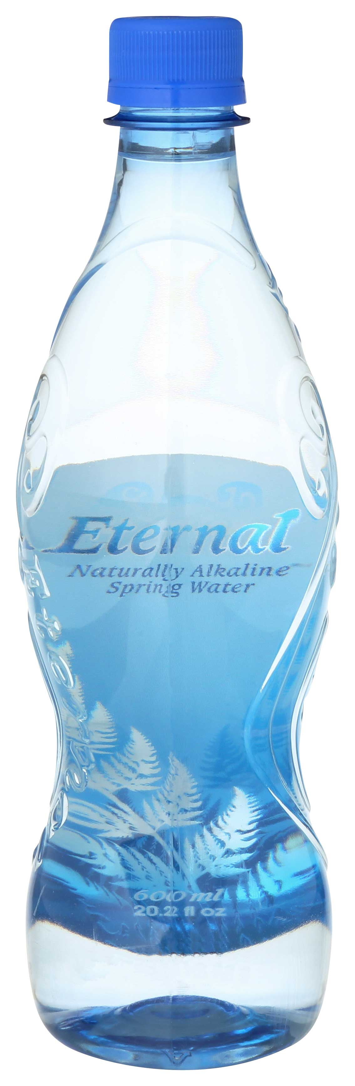 Eternal Bulk Bottled Artesian Water, 600ml -- Pack of 24 - Walmart.com