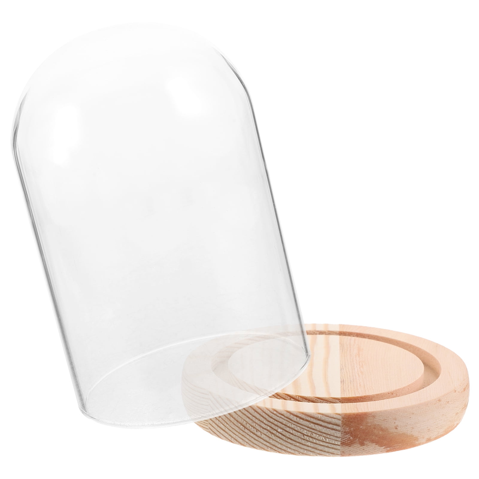 Eternal Flower Glass Cover Dust Transparent Micro Landscape Display ...