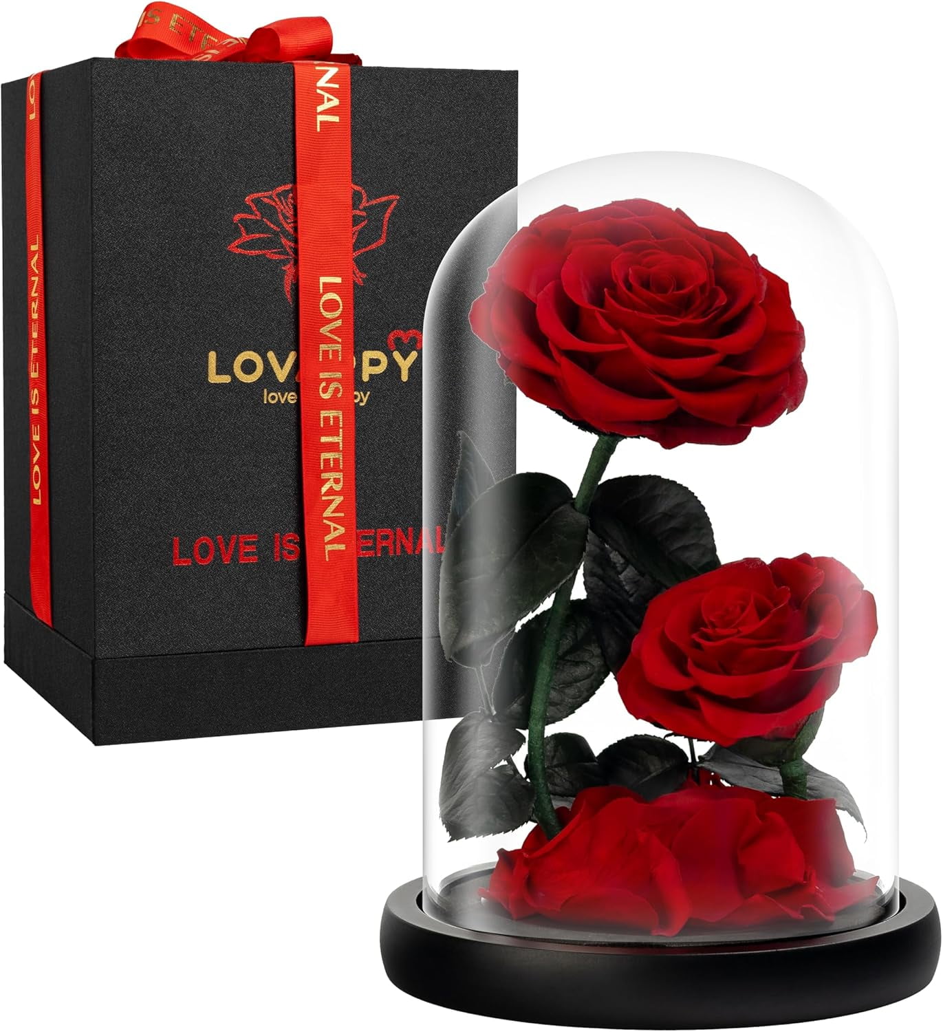 Eternal Flower in a Glass Dome: Preserved Rose - The Perfect Forever ...