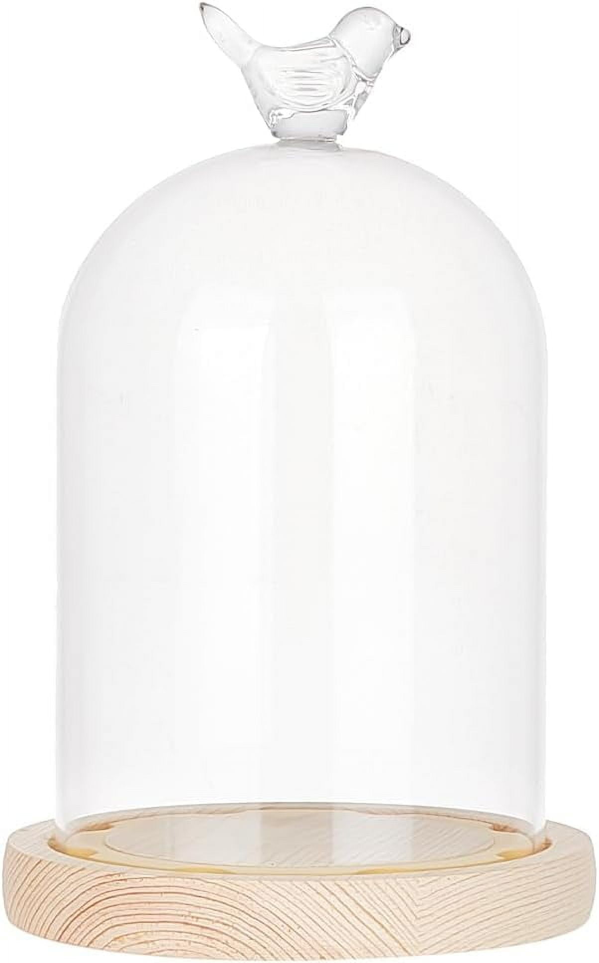 Eternal Glass Dome Cloche 4.8×7.5" Clear Cloche Bell Jar Terrarium Bird ...
