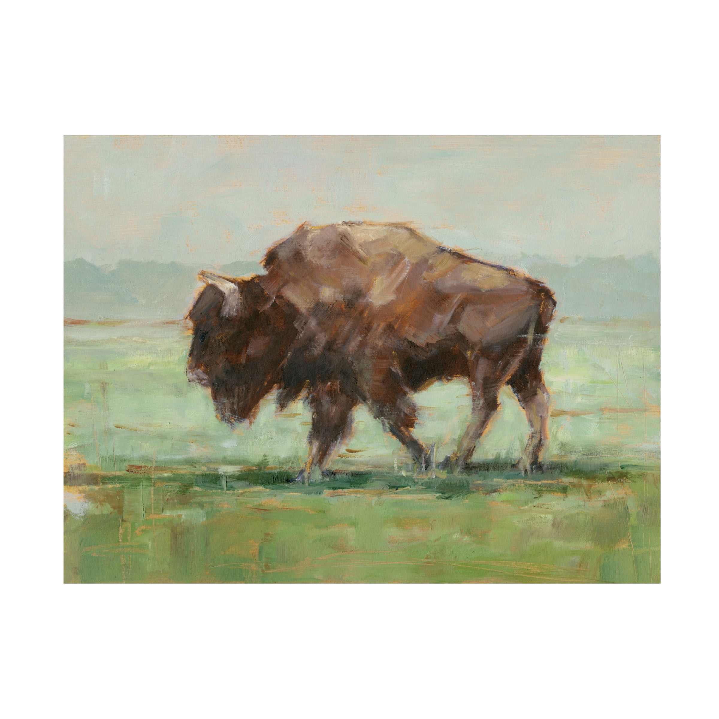 Ethan Harper 'Where the Buffalo Roam II' Canvas Art - Walmart.com