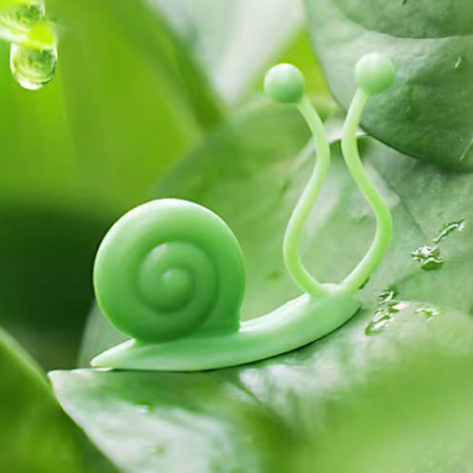 Ettsollp 10 Pcs Plant Stem Holder Wall Mount Self-Adhesive Snail Shape ...