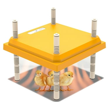 Chick Heating Plate - 12 x 16 Inch Chicken Heater Plate for Chicks with ...