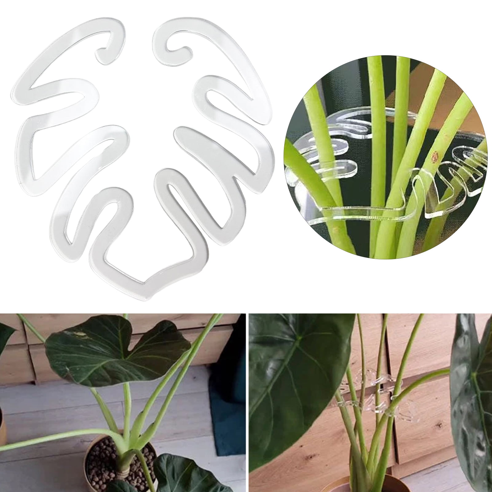 Ettsollp Turtle Shell Bamboo Clamp Set Plant Stem Support Clamp ...
