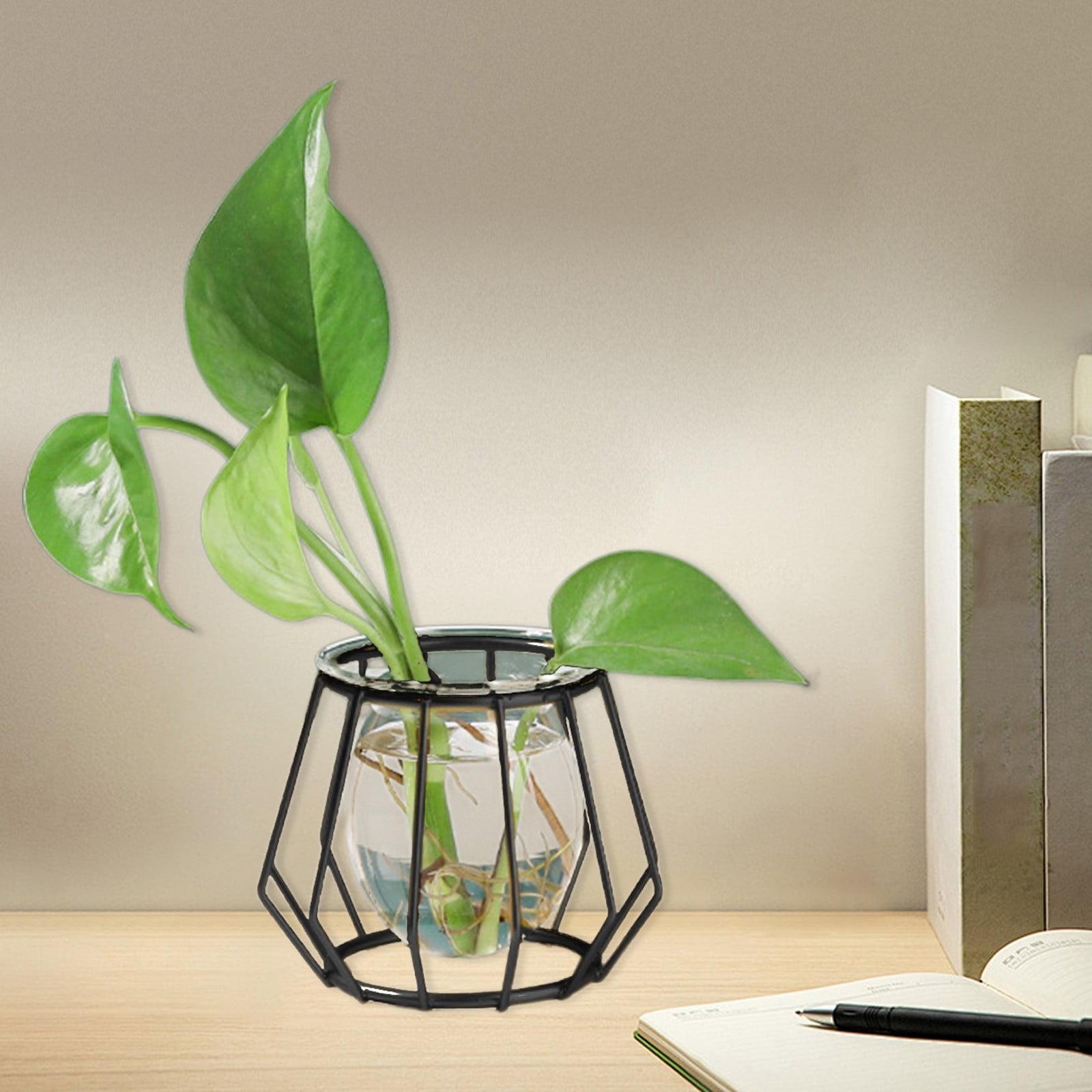 Euaioeiu Hydroponic Glass Vase with Iron Art Stand for Indoor ...